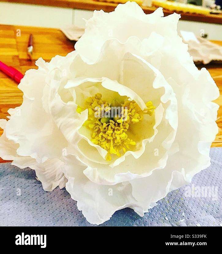 Sugar craft hi-res stock photography and images - Alamy