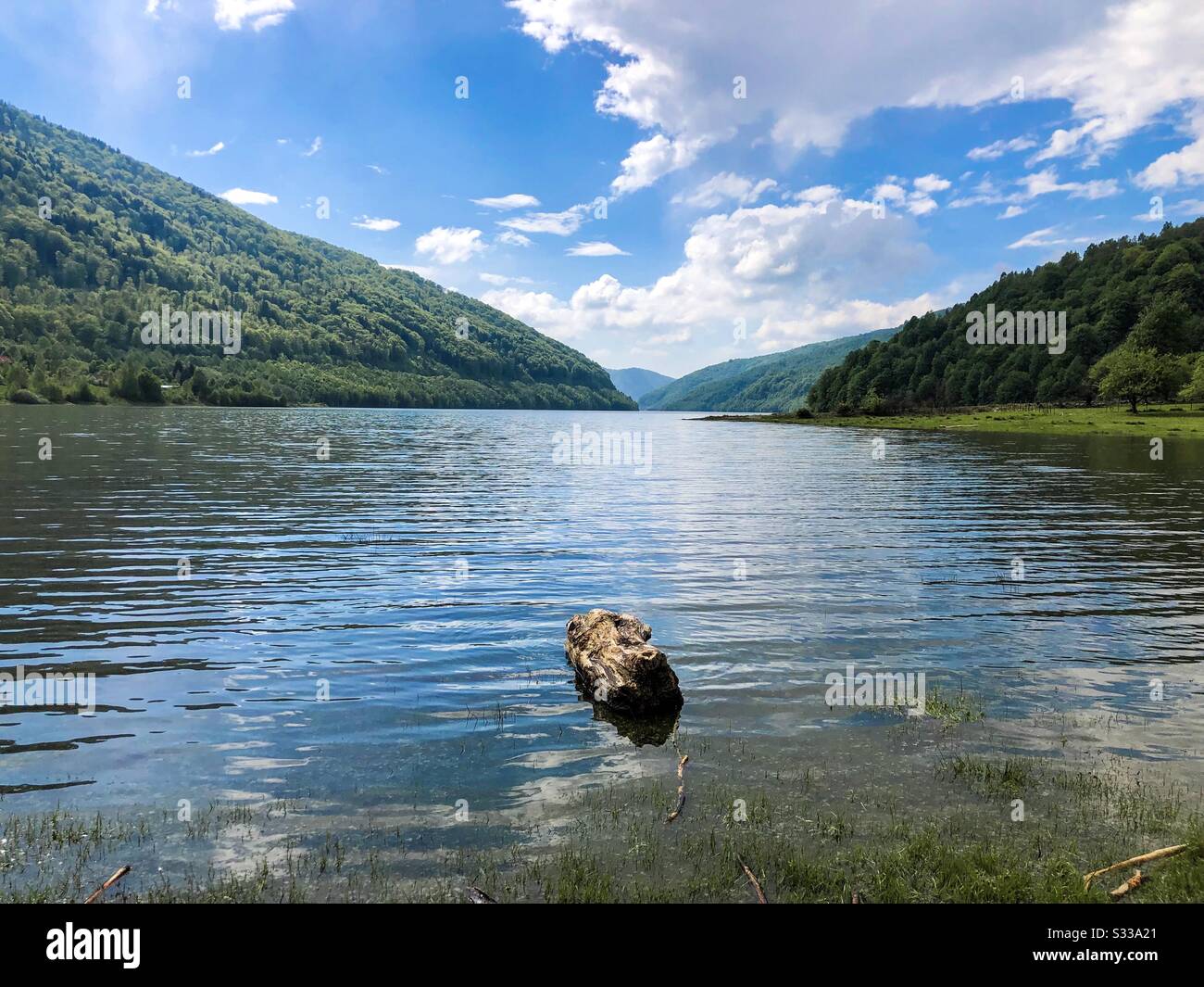 Log in the water of a lake Stock Photo - Alamy