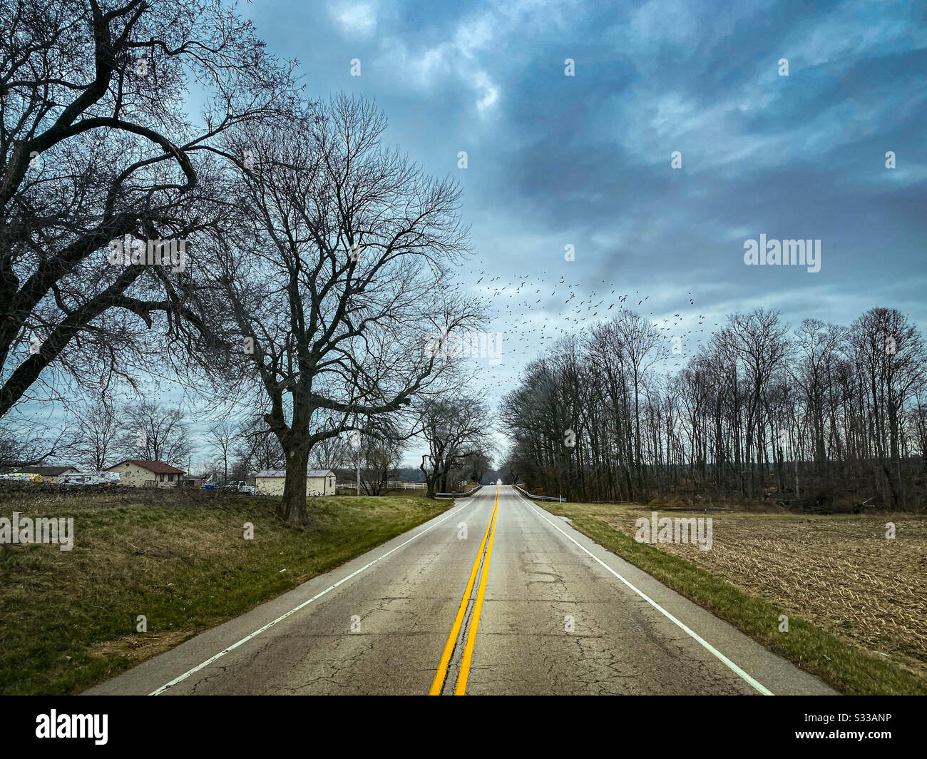 Road thru rural Illinois Stock Photo - Alamy