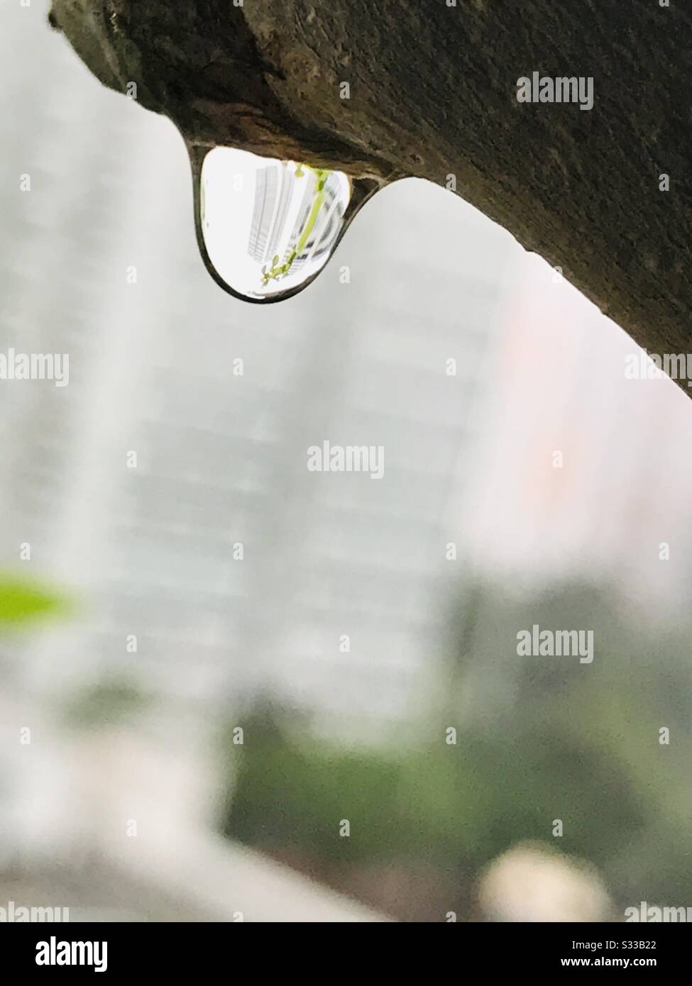 Zoomed in water drop hi-res stock photography and images - Alamy