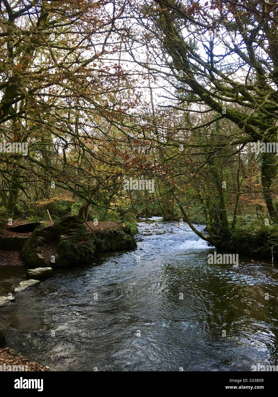 River camel cornwall hi-res stock photography and images - Alamy