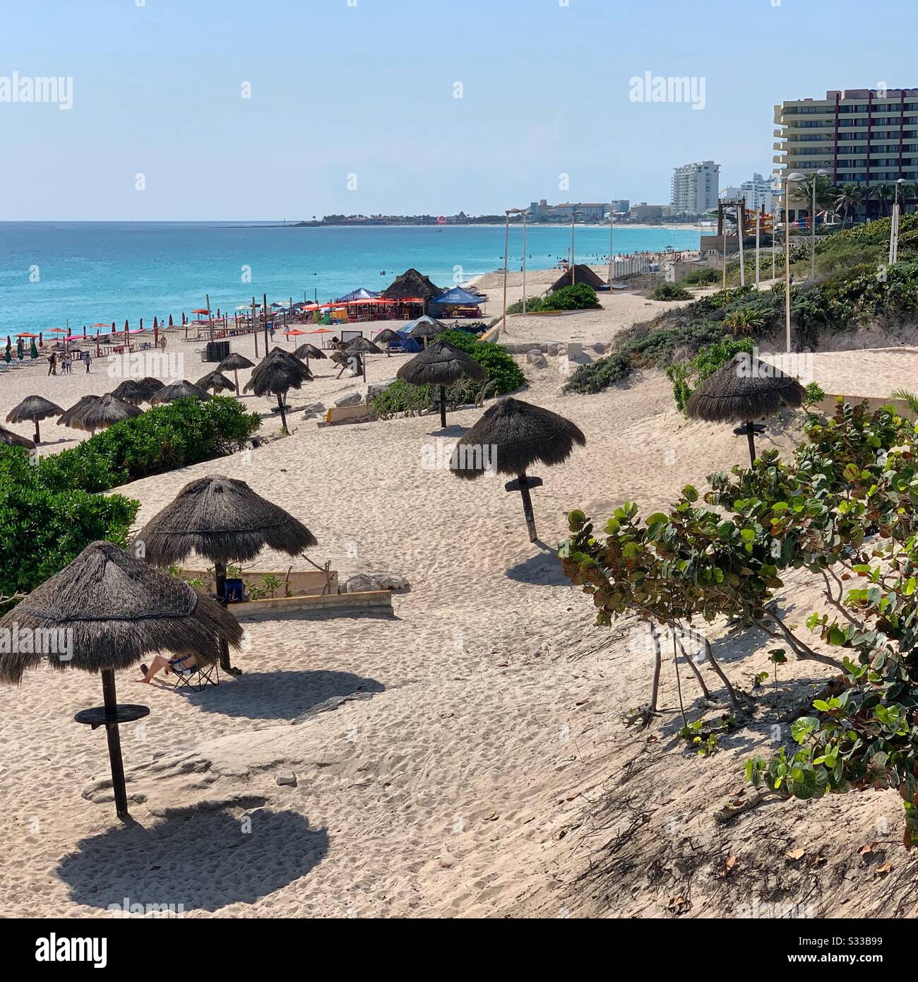 Cancun playa delfines hi-res stock photography and images - Alamy