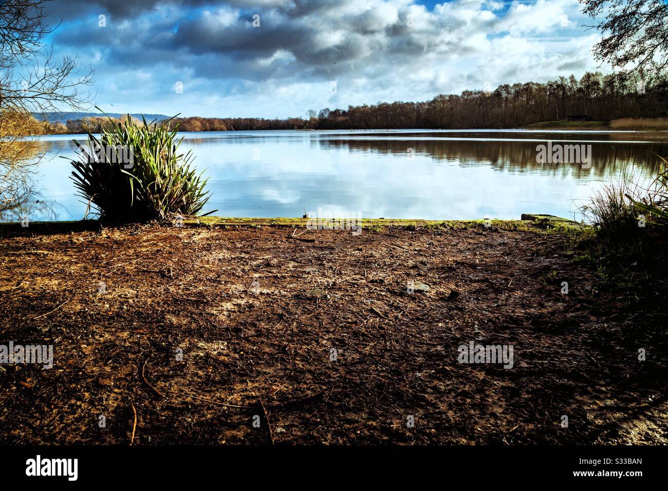 Sevenoaks nature reserve hi-res stock photography and images - Alamy
