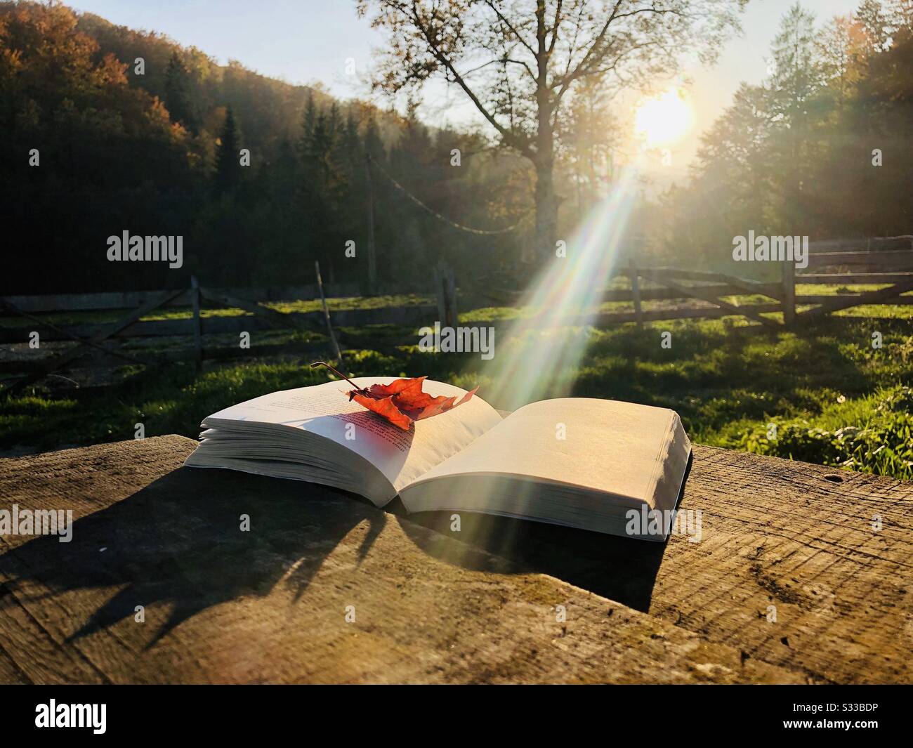 Book outdoors fall hi-res stock photography and images - Alamy