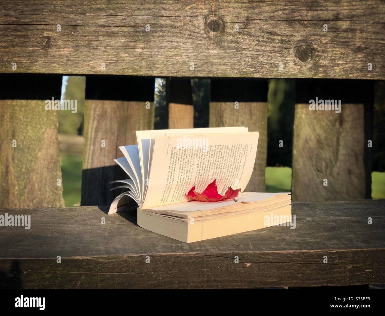 Maple leaf book hi-res stock photography and images - Alamy