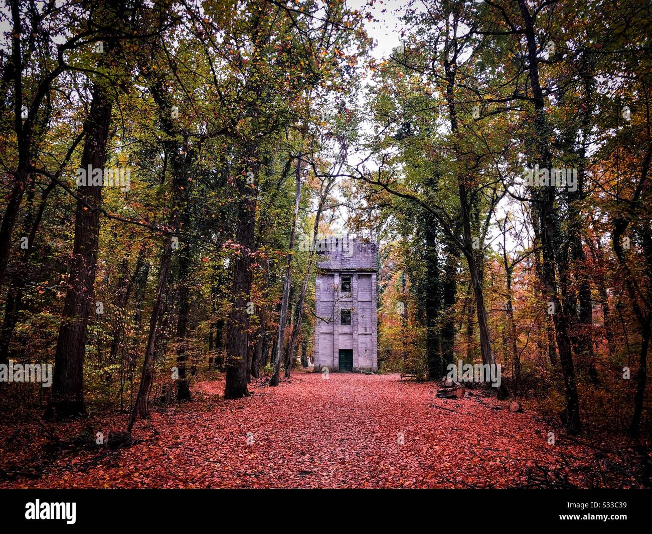 Old building in the forest in autumn Stock Photo - Alamy