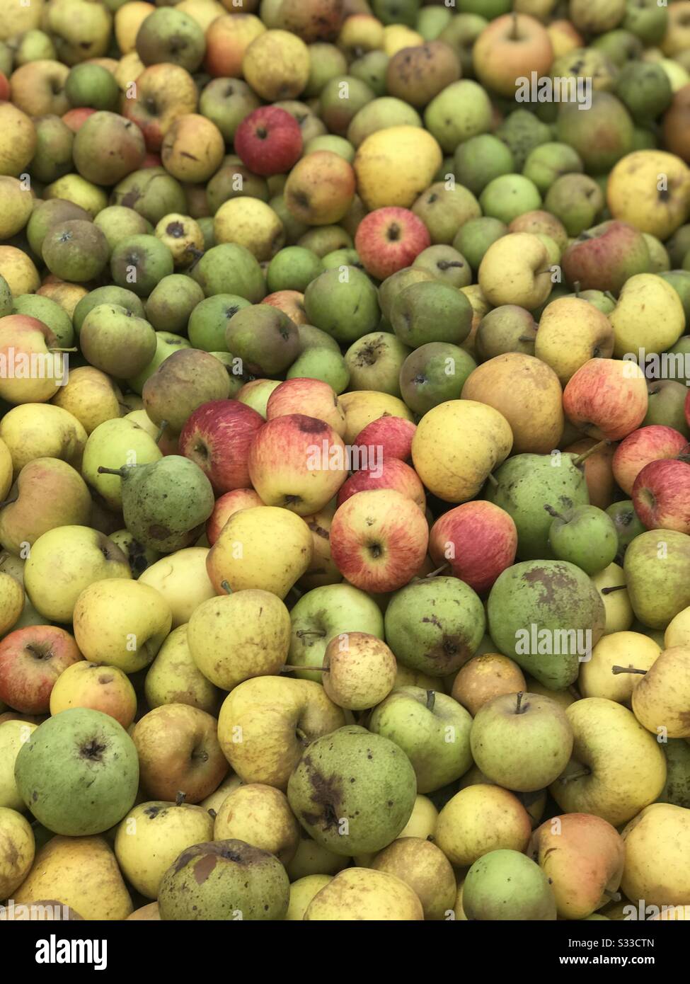 Apple varieties hi-res stock photography and images - Alamy