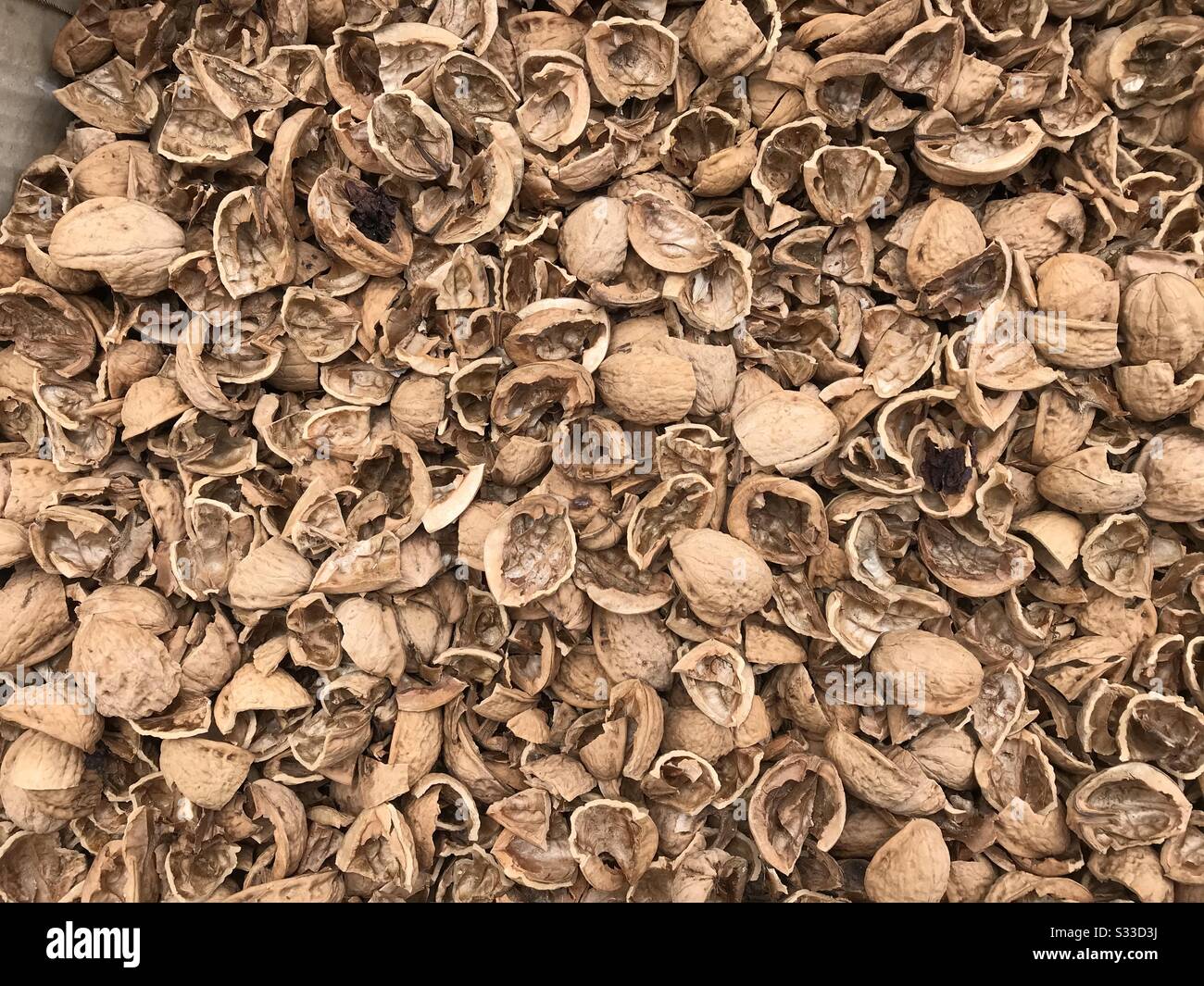 Shell waste hi-res stock photography and images - Alamy