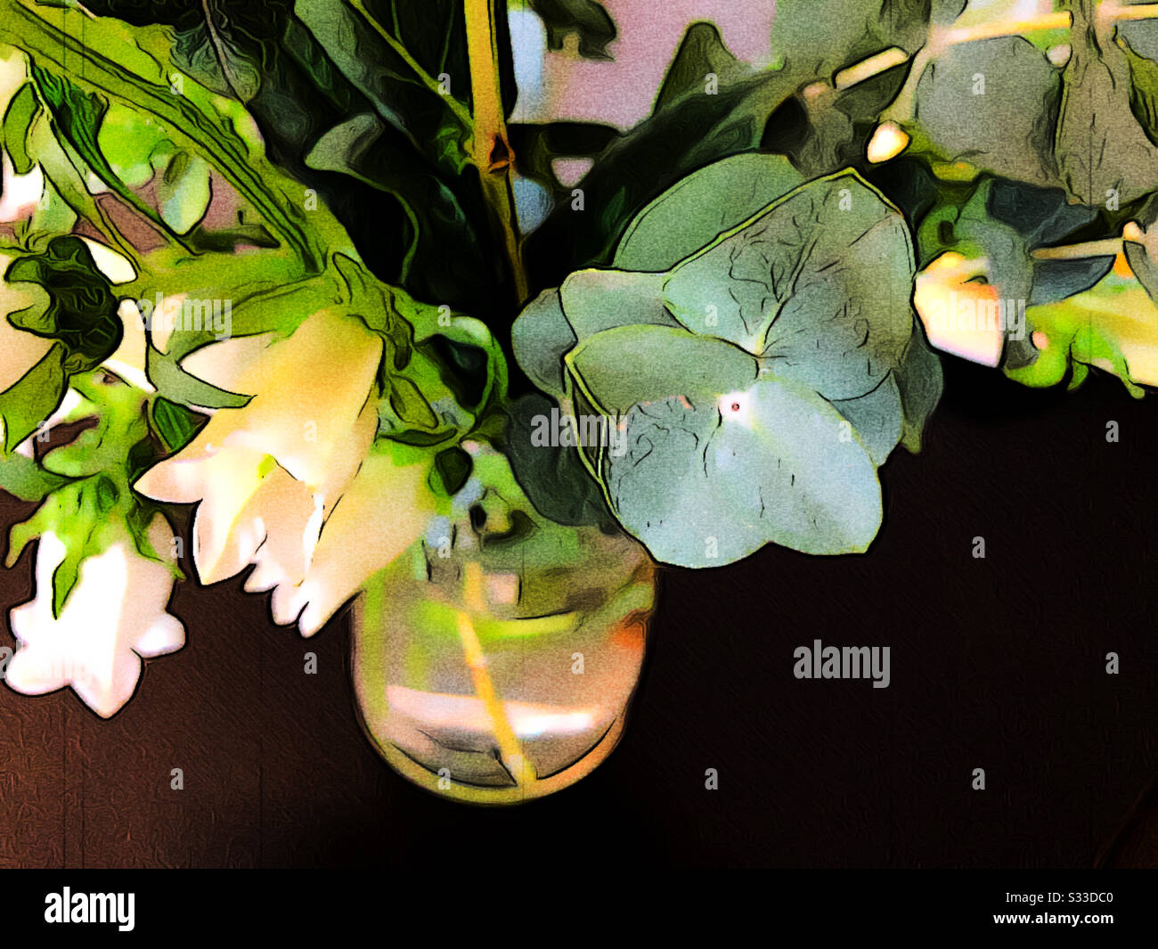 Eucalyptus blooms hi-res stock photography and images - Alamy