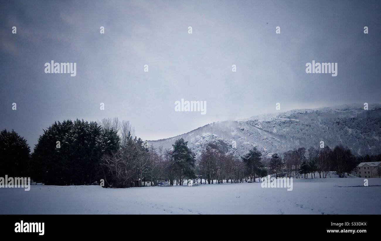 Aviemore national park hi-res stock photography and images - Alamy