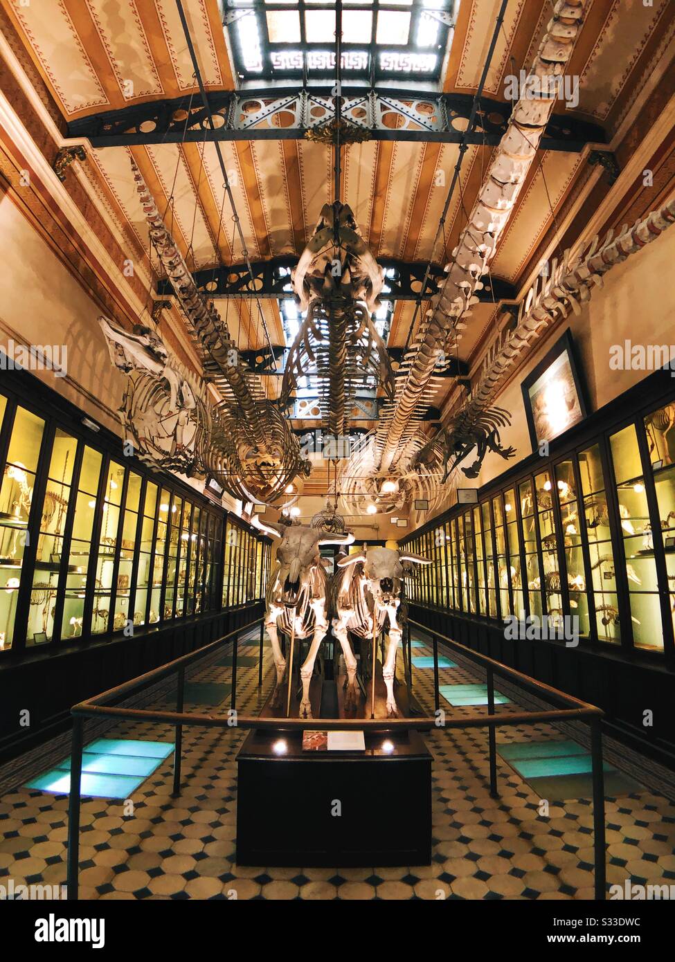 Ciencias naturales hi-res stock photography and images - Alamy