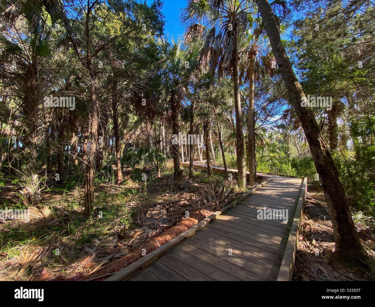 Roger plant hi-res stock photography and images - Alamy