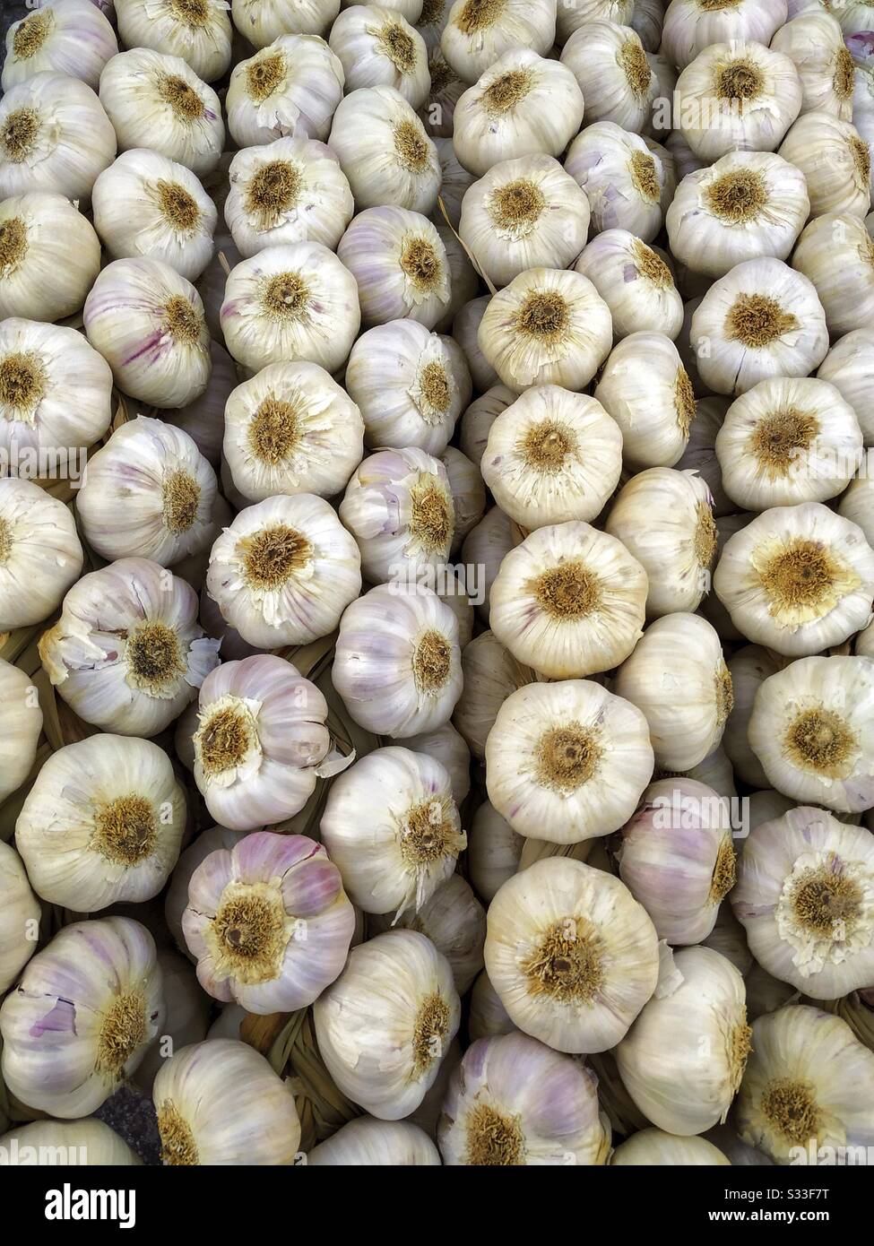 Strings of garlic bulbs hi-res stock photography and images - Alamy