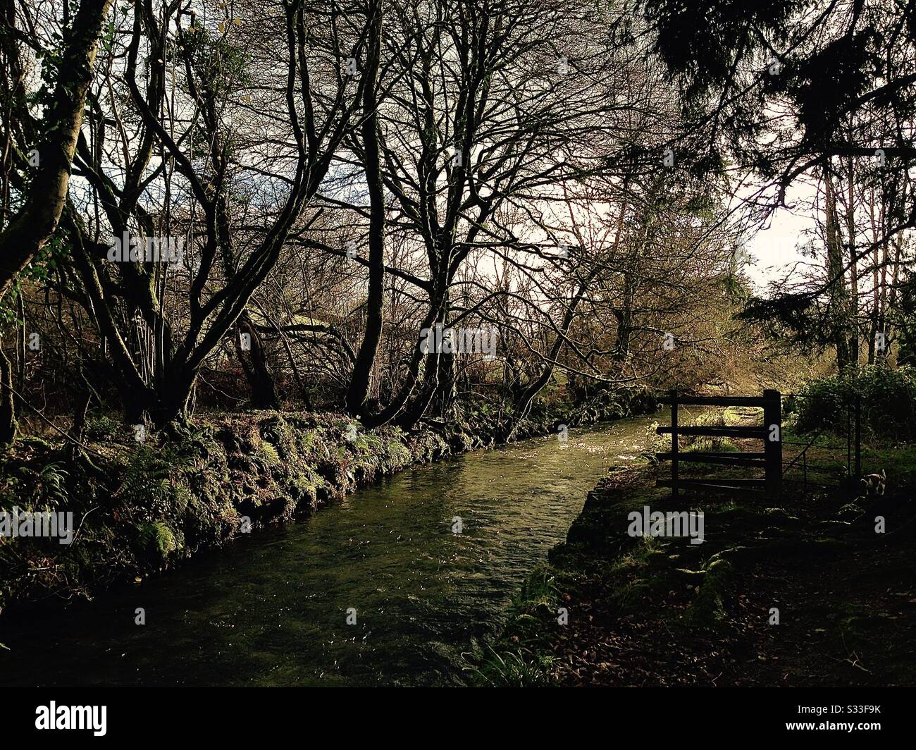 Riverside walk, River Camel, Camelford, north Cornwall Stock Photo - Alamy