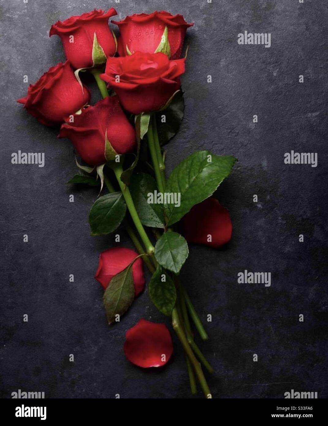 Romantic roses hi-res stock photography and images - Alamy