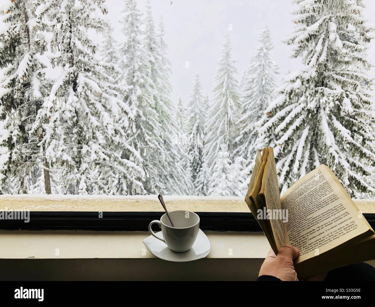 Book and coffee hi-res stock photography and images - Alamy