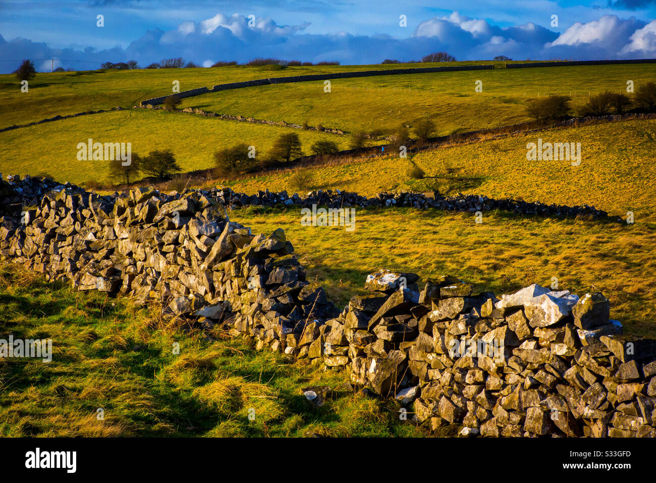 Drystone wall in Coombs Dale in the Peak District National Park ...