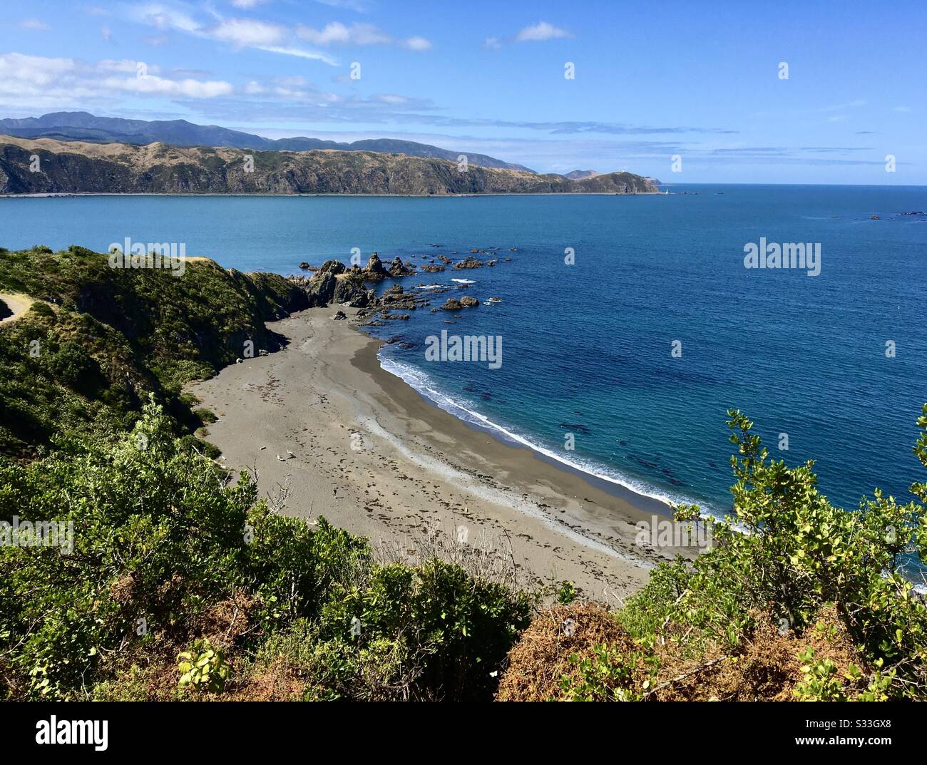 Wellington beach new zealand hi-res stock photography and images - Alamy
