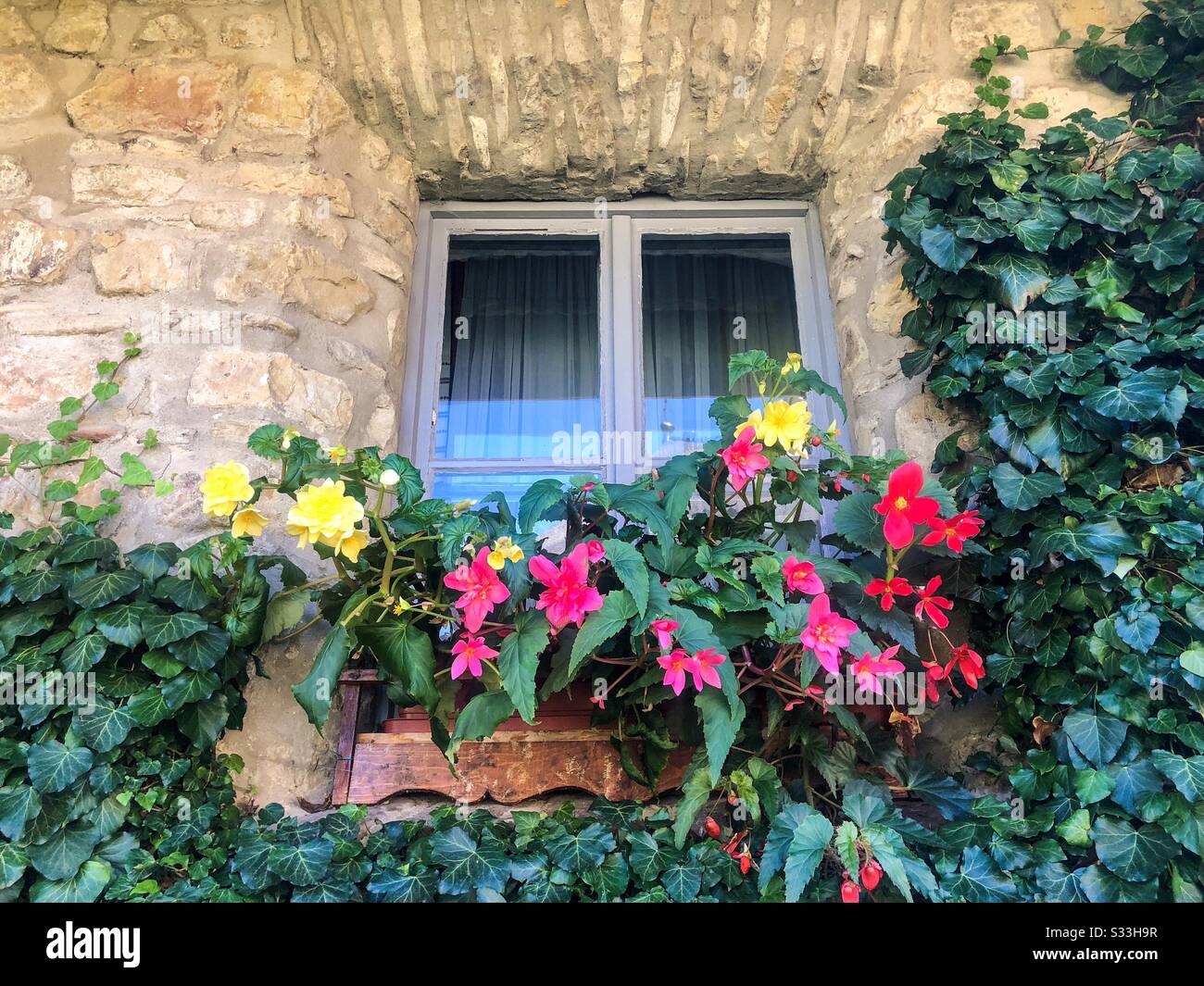 Window with hanging ivy and flowers Stock Photo - Alamy