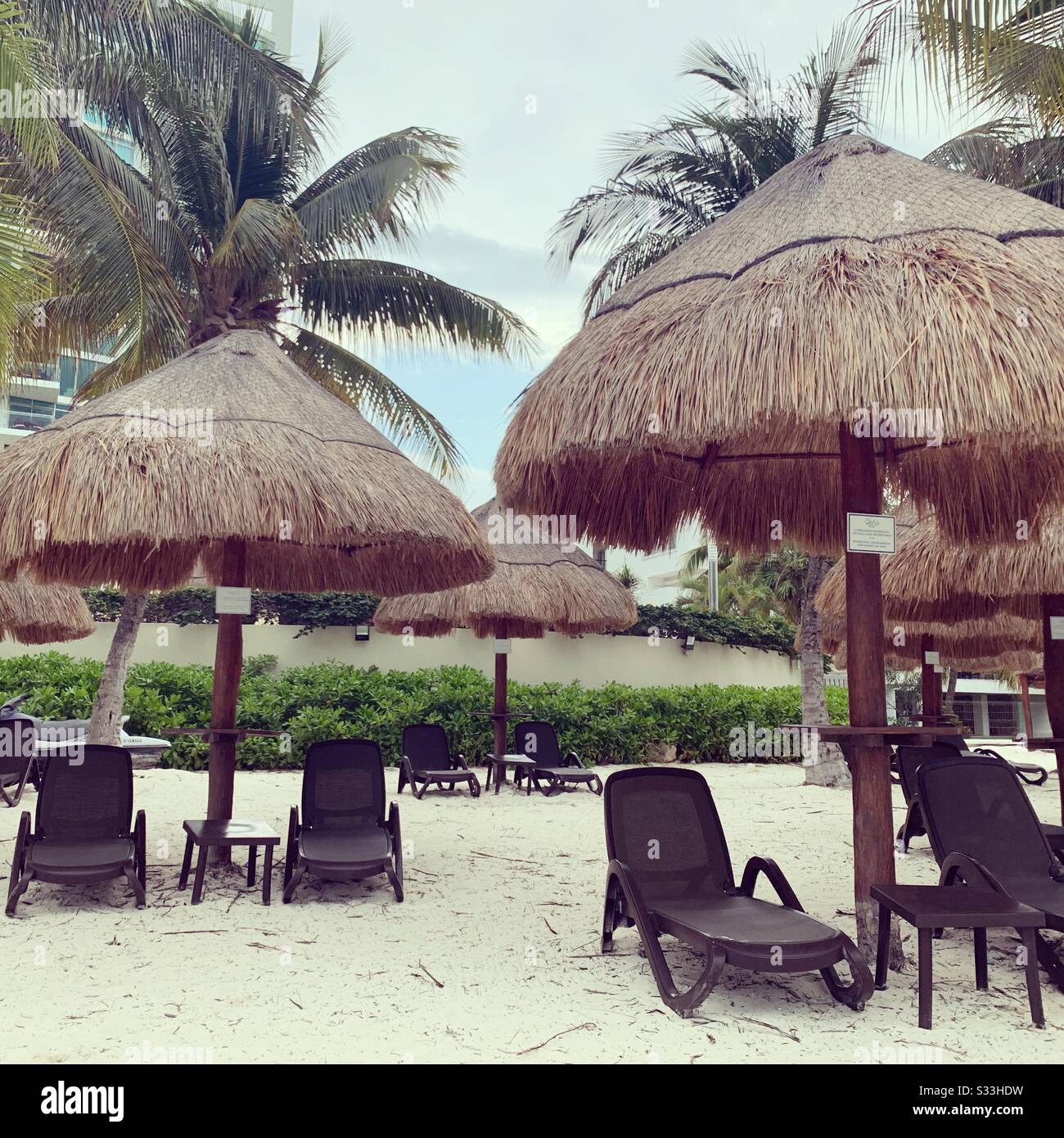 Shaded lounge chairs on the beach, Las Olas Residence and Spa, Cancún ...