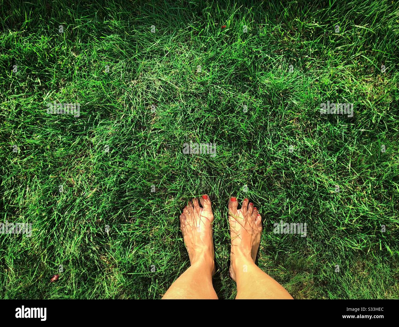 Outside outdoors nature vegetation grass hi-res stock photography and ...