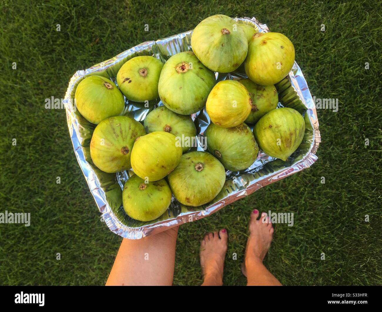 Holding figs hi-res stock photography and images - Alamy