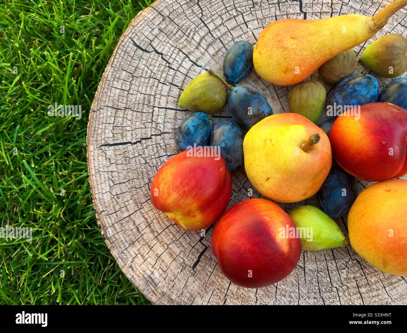 Autumn fruits like apples, pears, plums, figs, peaches, placed on a log ...
