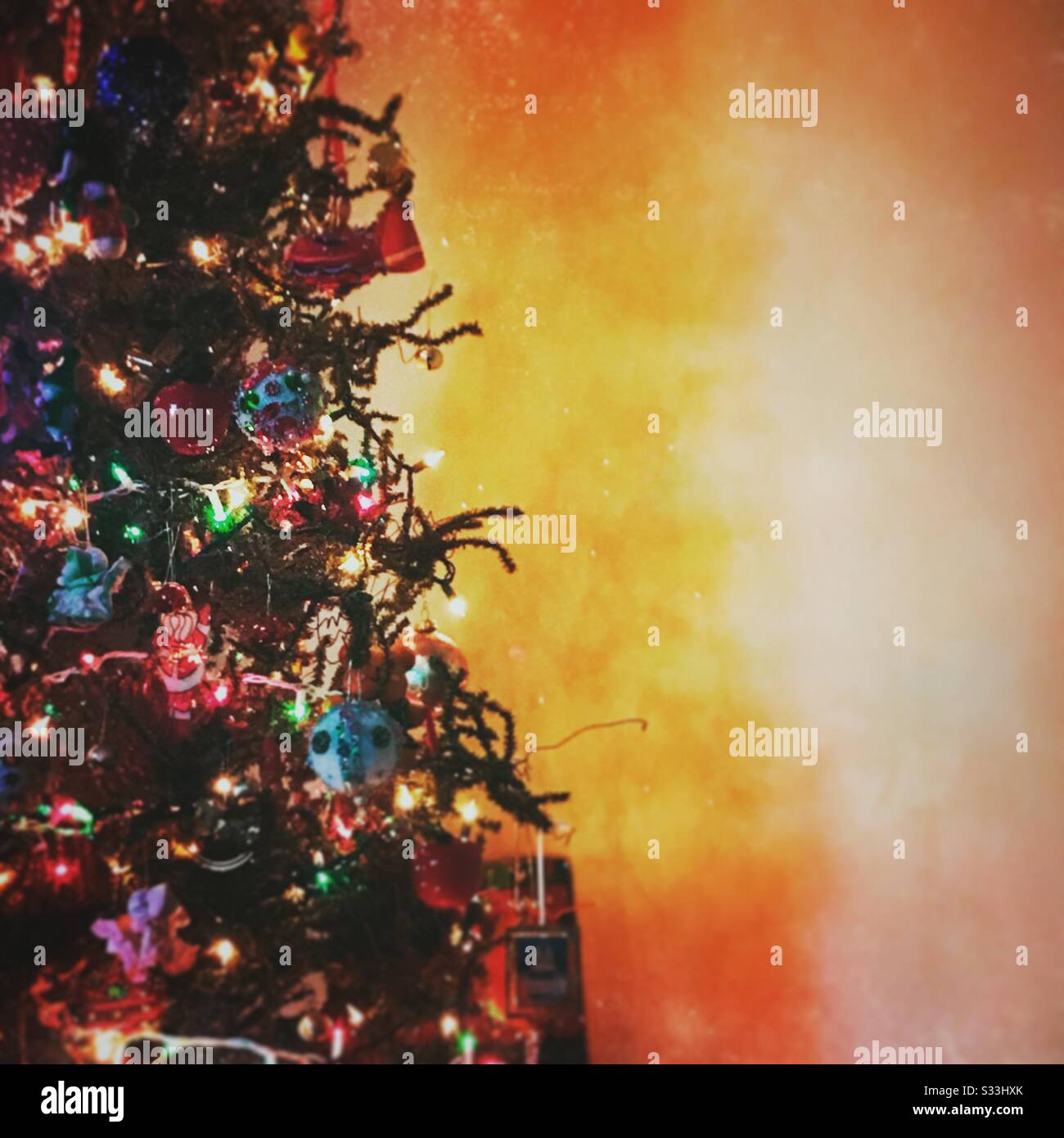 Tree profile hi-res stock photography and images - Alamy