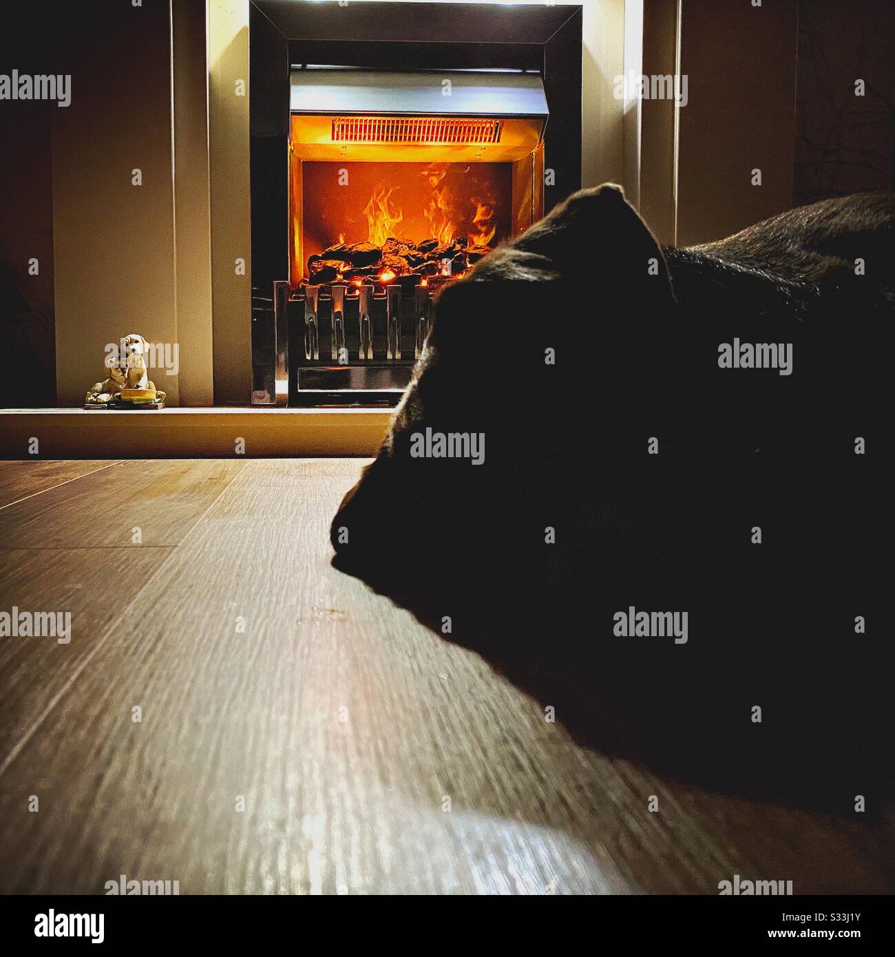 Sleeping next to fire hi-res stock photography and images - Alamy