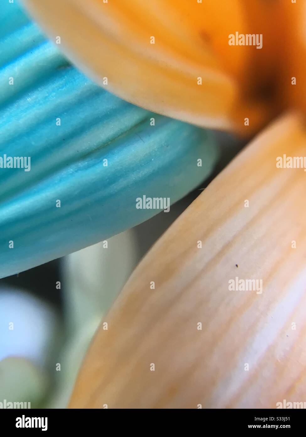 Colorful daisy daisy hi-res stock photography and images - Alamy