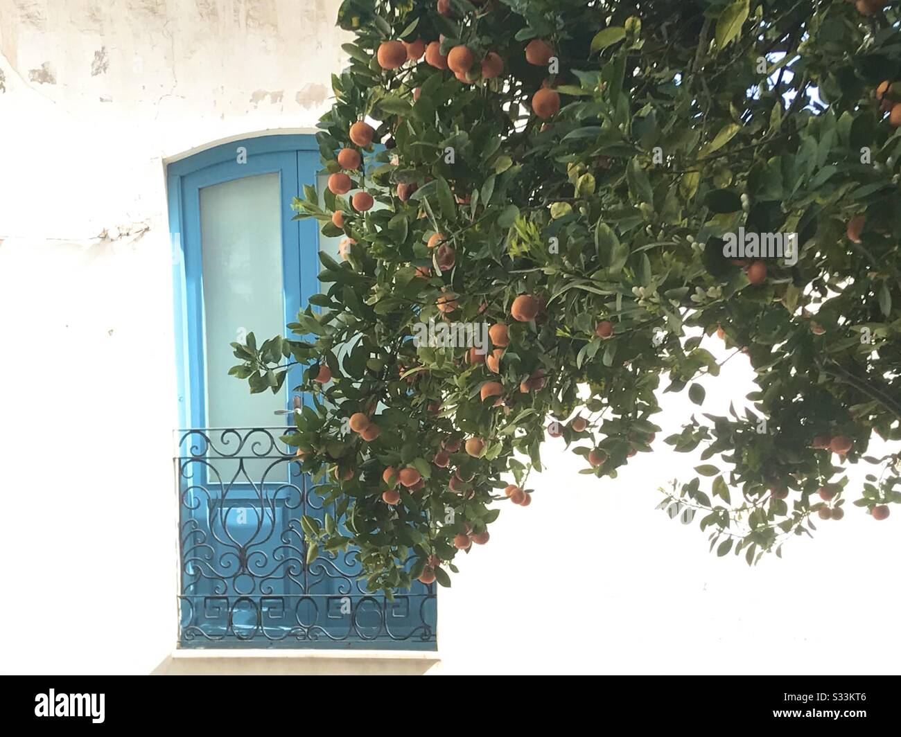 Orange tree in front of a blue window frame. Mojacar, Spain Stock Photo ...