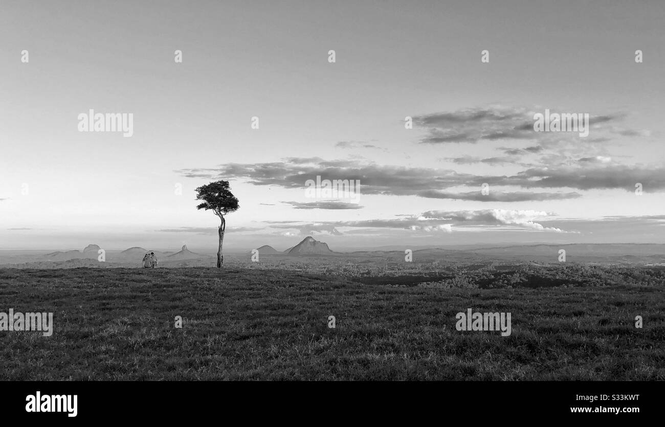 One Tree Hill Maleny Queensland Australia Stock Photo - Alamy