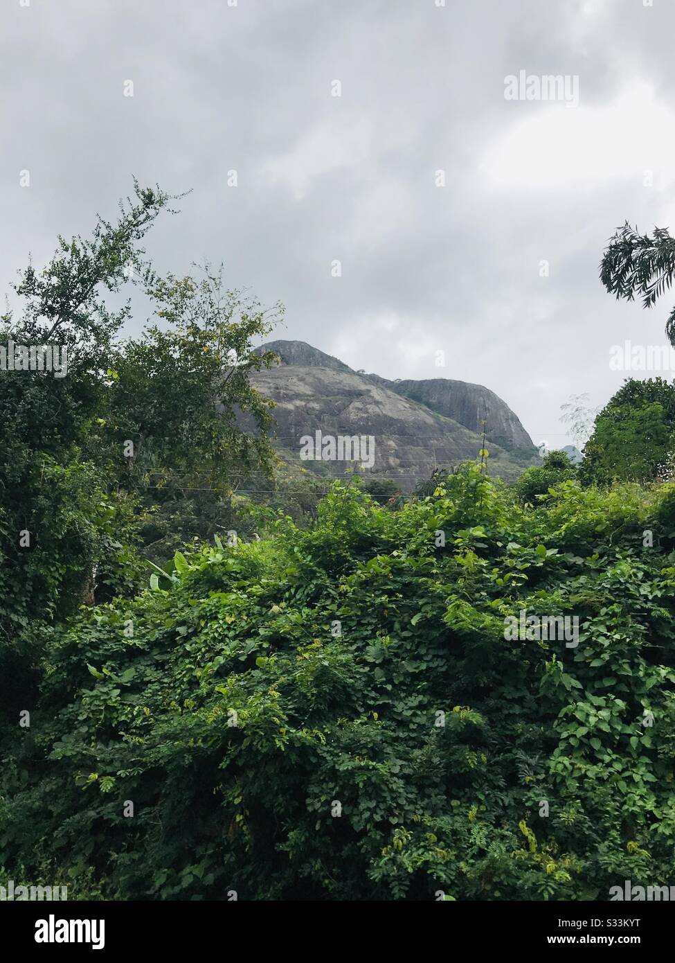 Western ghats greenery view hi-res stock photography and images - Alamy