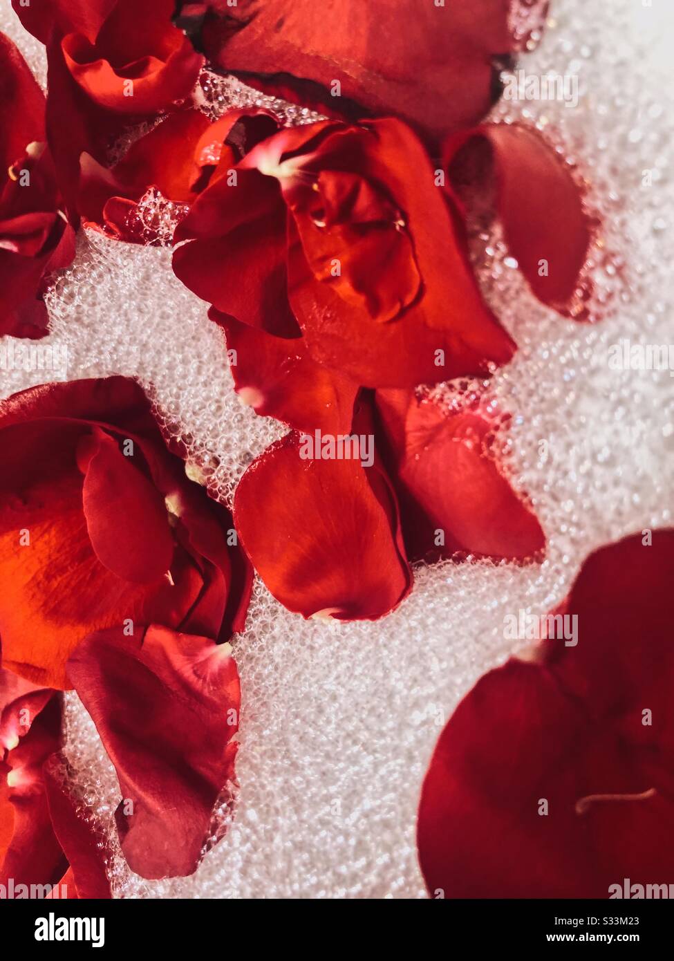 Rose petals bath hi-res stock photography and images - Alamy