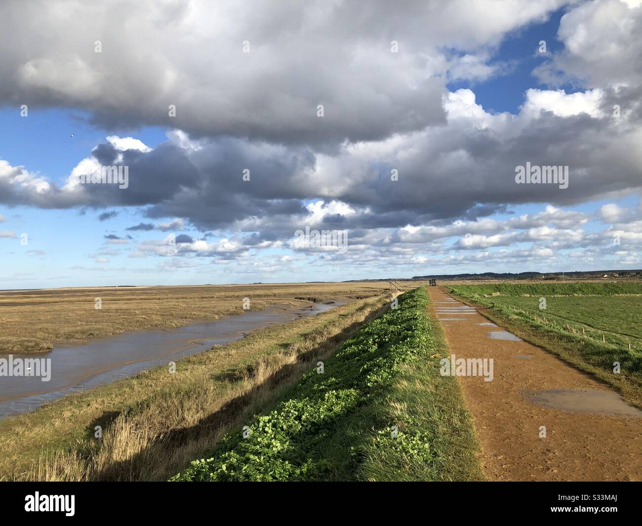 Holme marshes hi-res stock photography and images - Alamy