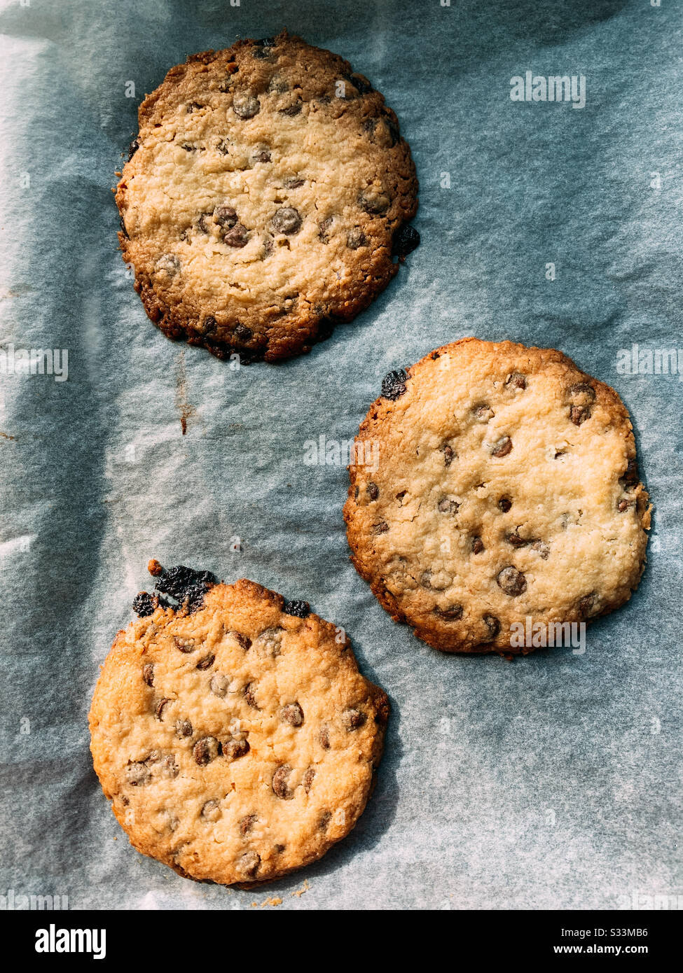 Homemade chocolate chip shortbread cookies Stock Photo - Alamy