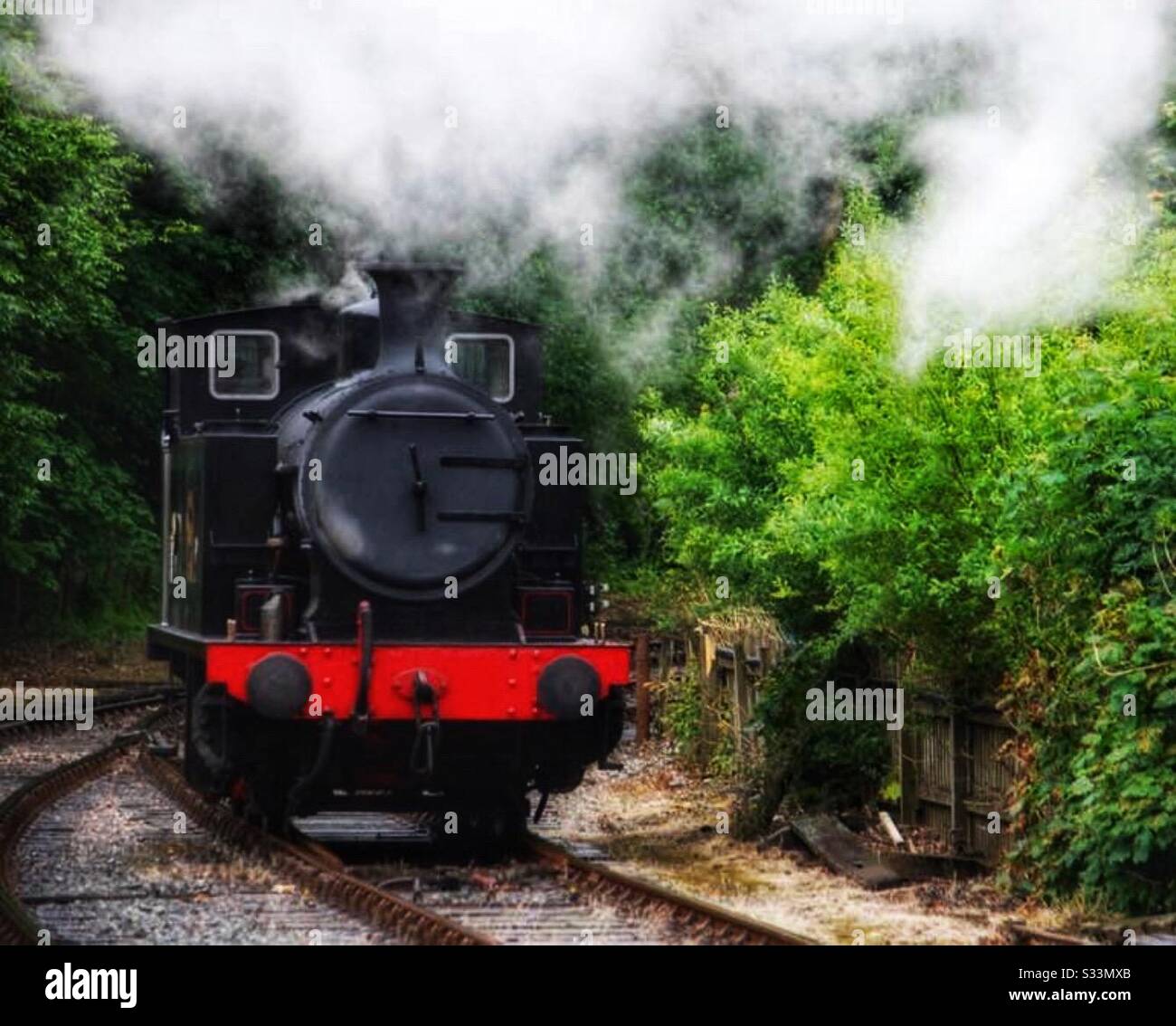 Steam train in the Lake District Stock Photo - Alamy