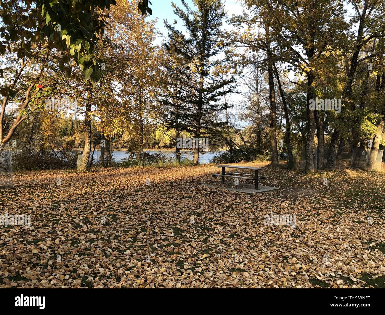 Vivid autumn colours hi-res stock photography and images - Alamy