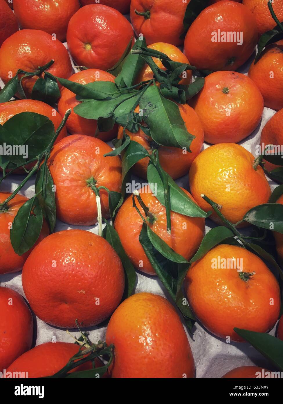 Fresh orange display hi-res stock photography and images - Alamy