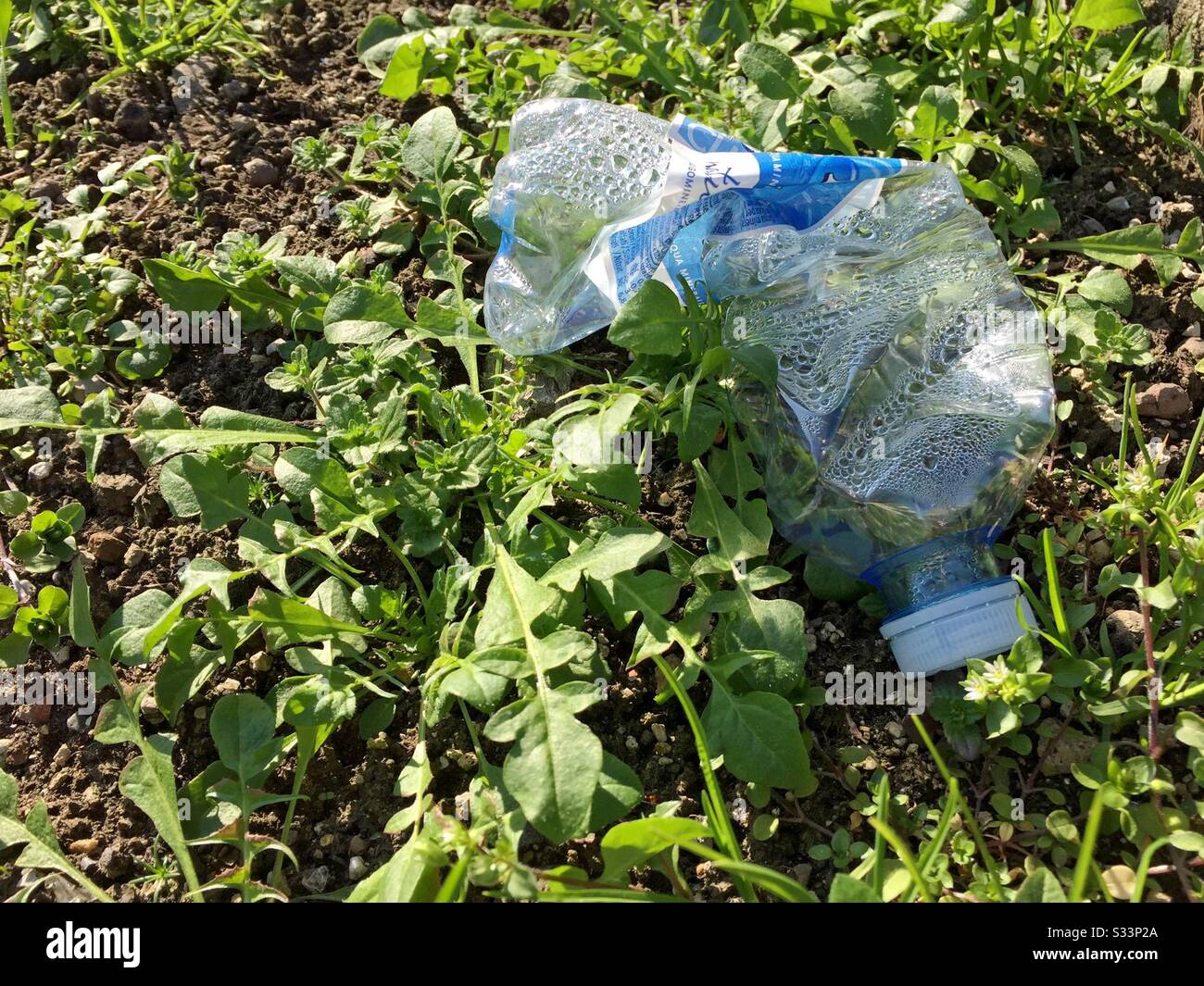 Used Plastic Bottle Dropped on Green Stock Photo - Alamy