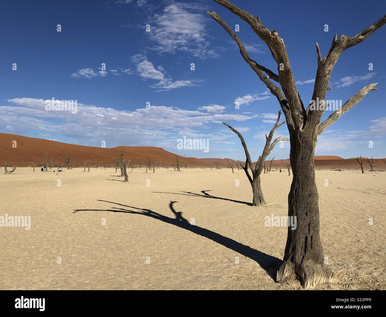 Deadvlei in Namibia Stock Photo - Alamy
