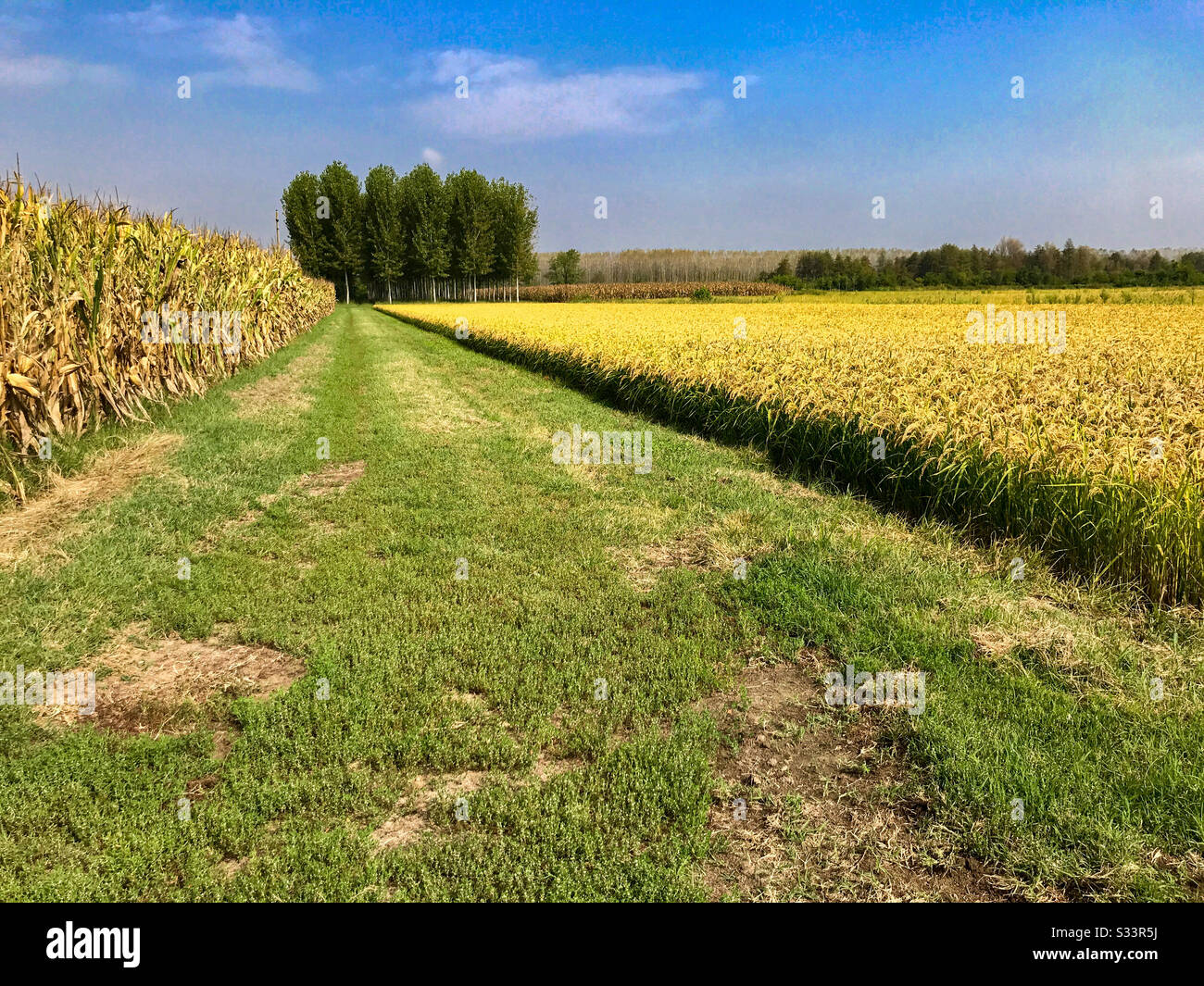 Land meet sky hi-res stock photography and images - Alamy