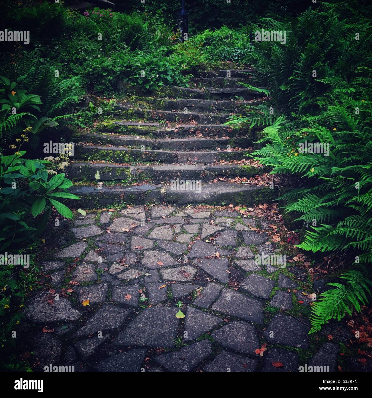 Pathways in Victoria Park, Glasgow, Scotland Stock Photo - Alamy