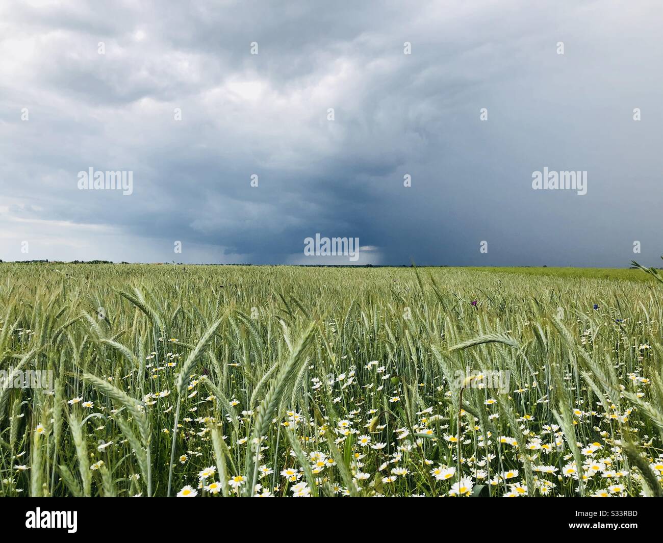 Dark clouds over field hi-res stock photography and images - Alamy