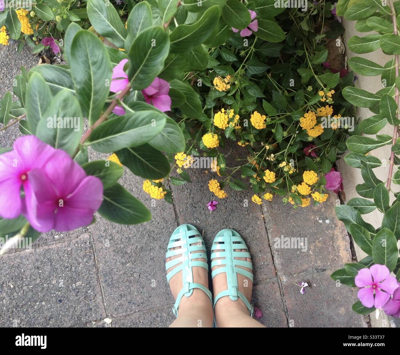 Female wearing sandals hi-res stock photography and images - Alamy