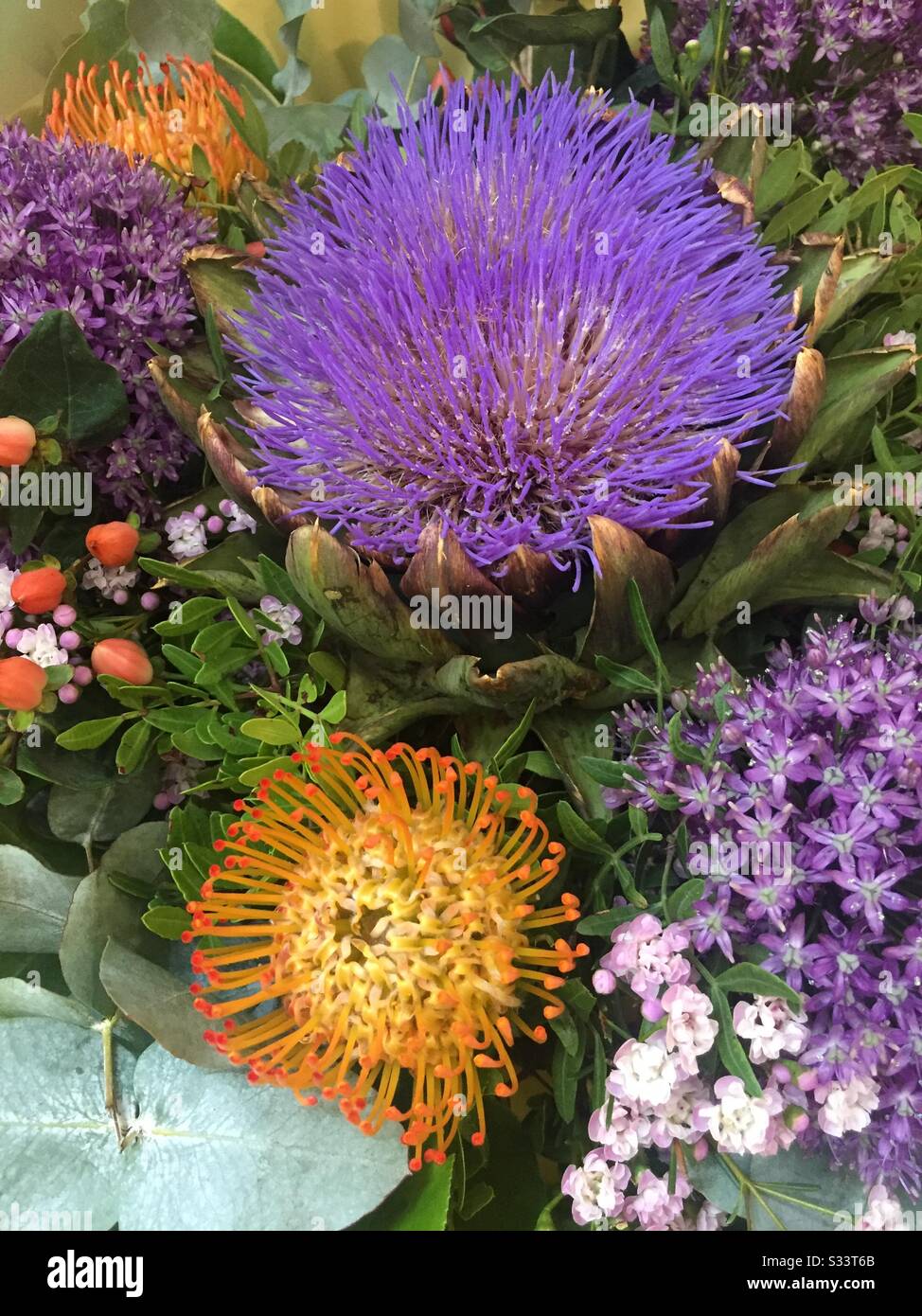 Unusual flowers hi-res stock photography and images - Alamy