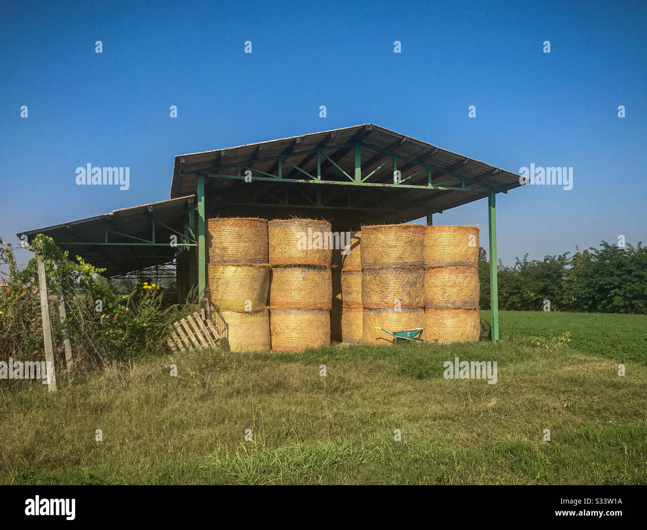 Green metal pole barn filled with rolls of hay. Green grass and blue ...