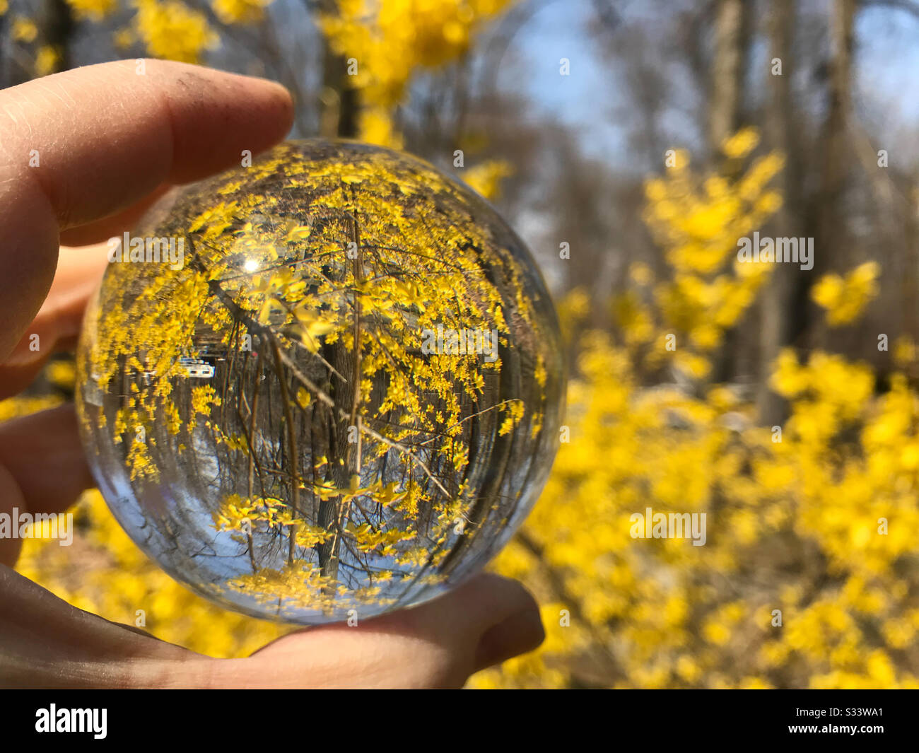 Crystal spring hi-res stock photography and images - Alamy
