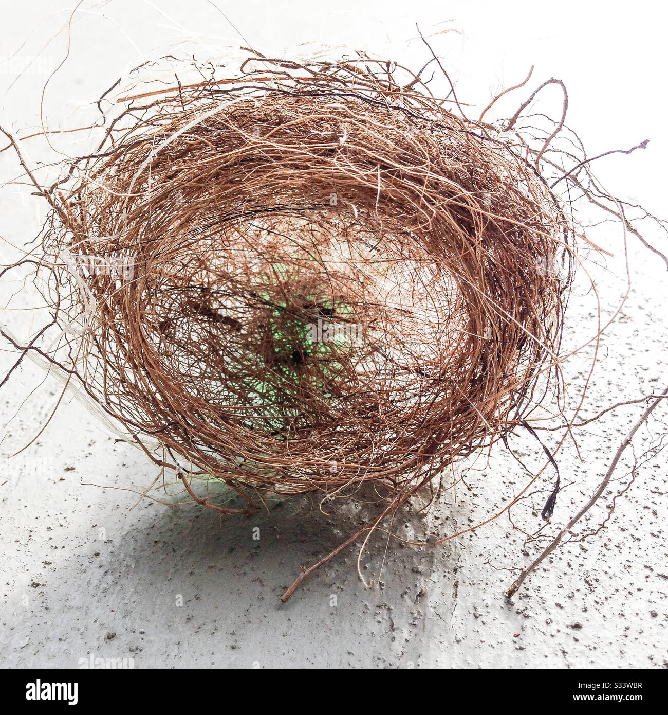 Abandoned bird’s nest Stock Photo - Alamy