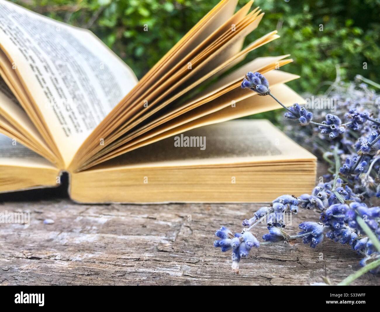 Book and lavender flowers Stock Photo - Alamy